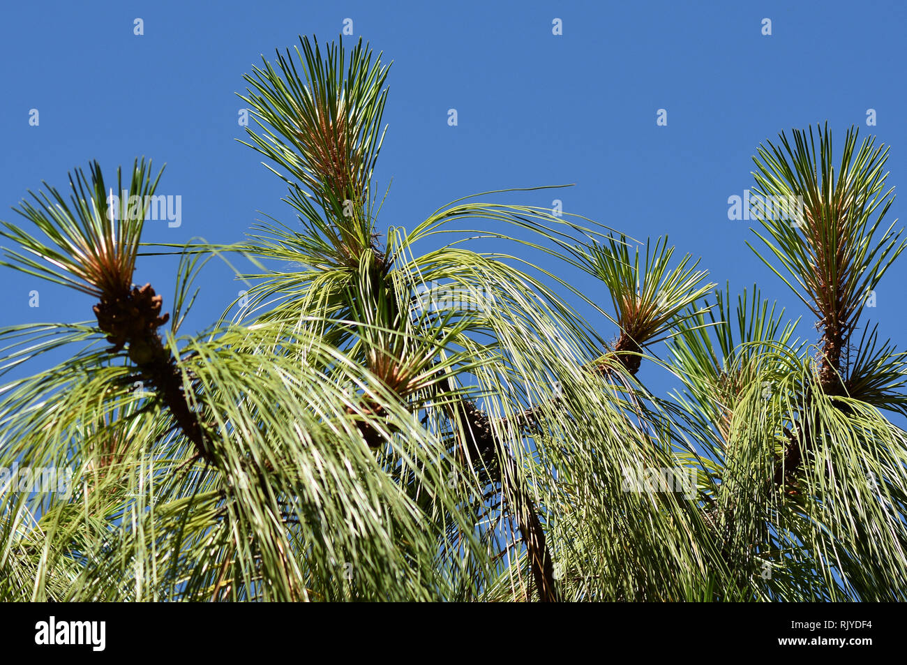 Paignton Zoo, Paignton, Devon Stock Photo - Alamy