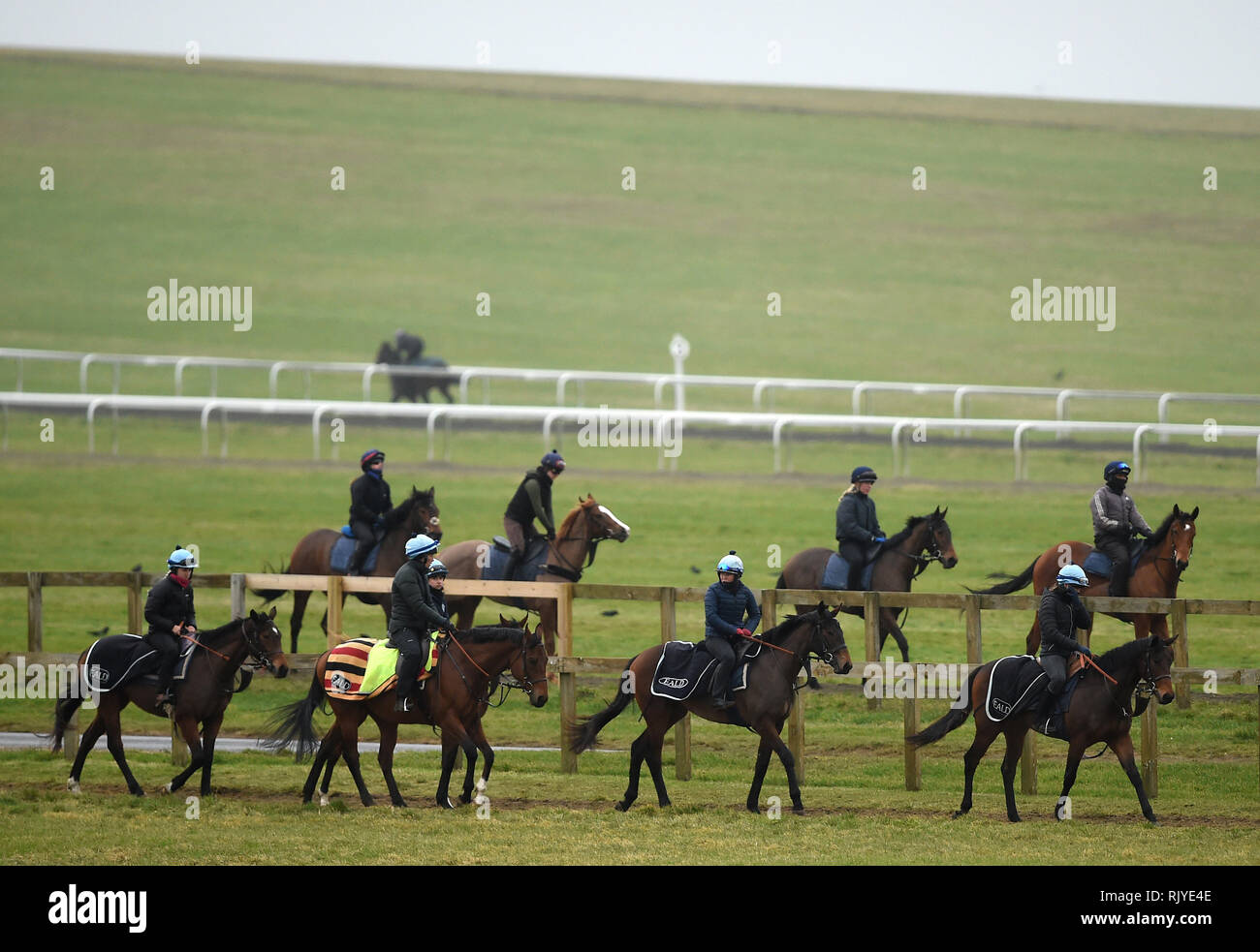 Horses on gallops in newmarket hi-res stock photography and images - Alamy