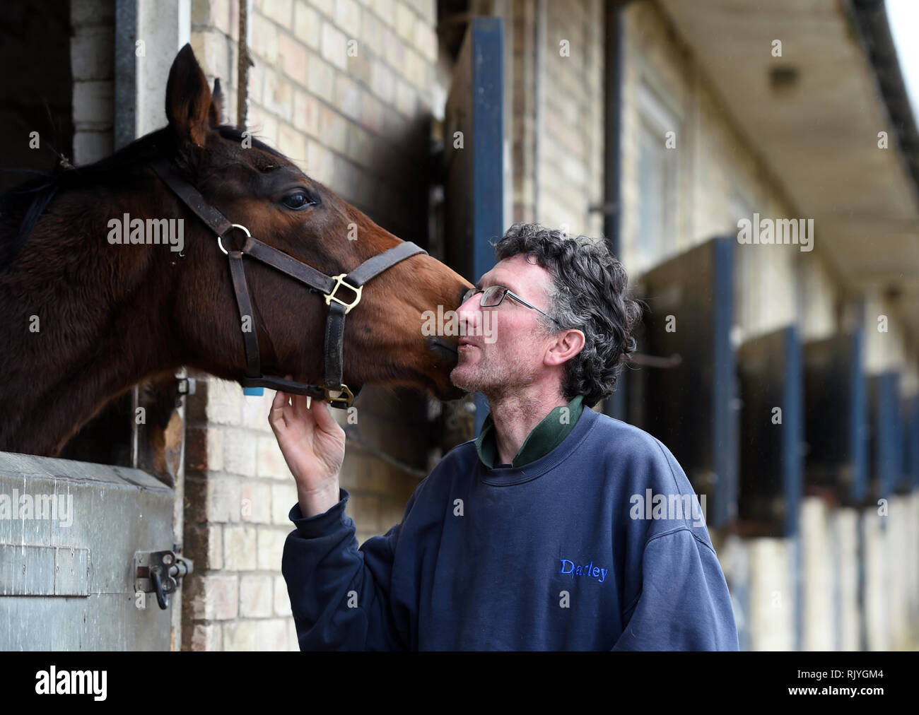 Hand and horse hi-res stock photography and images - Alamy