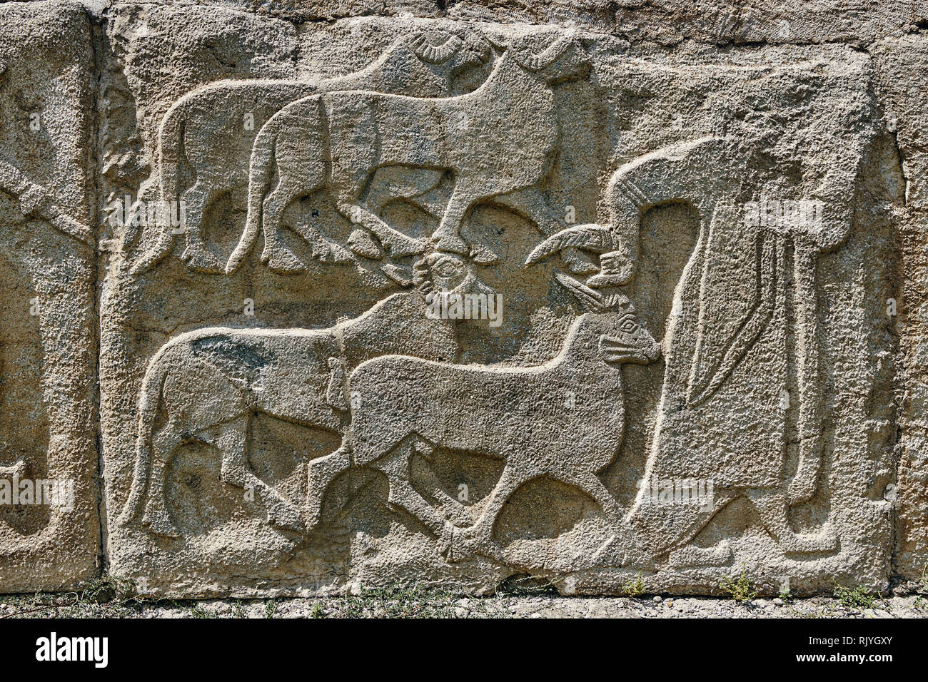 Pictures & Images Hittite relief sculpted orthostat panels of the ...