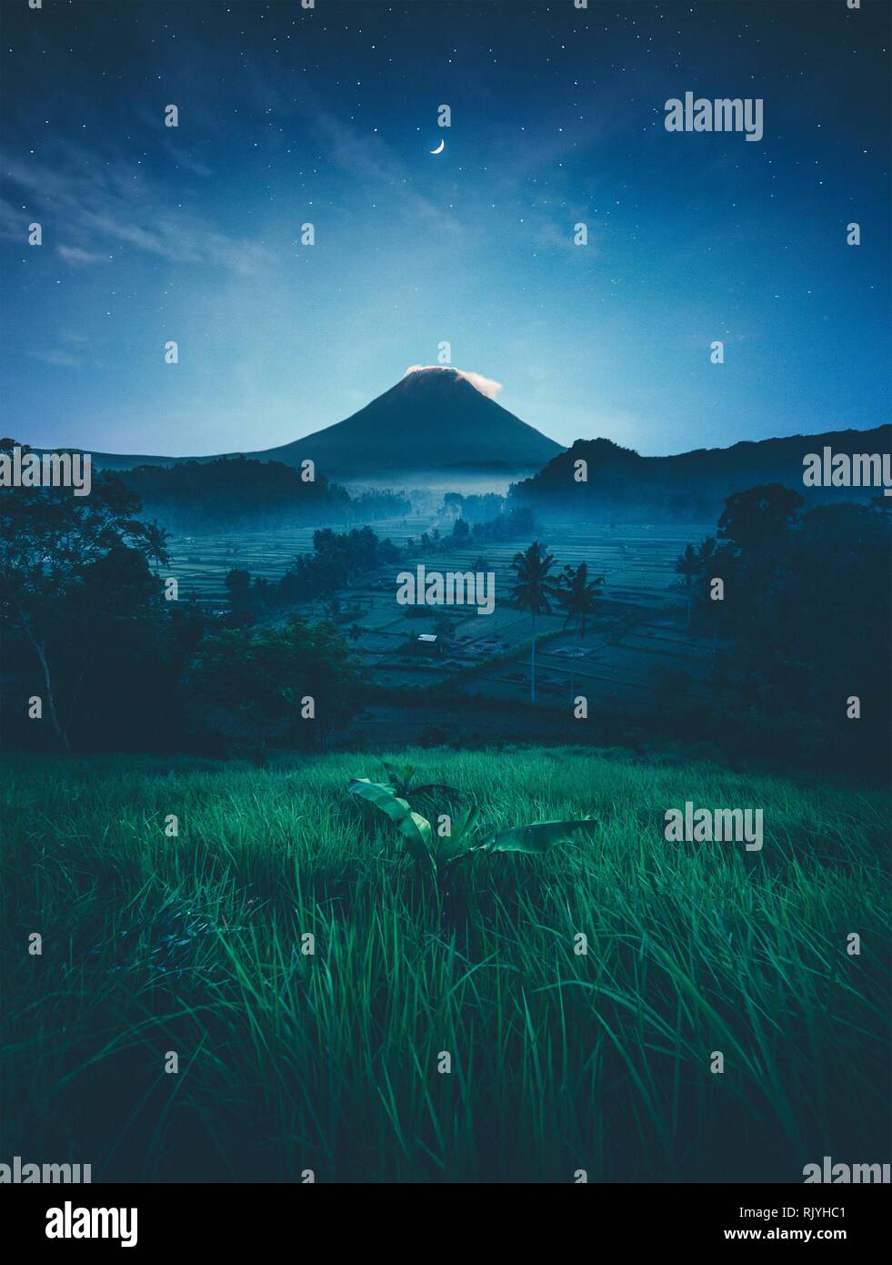 Best Pic Stock Photos & Best Pic Stock Images - Alamy