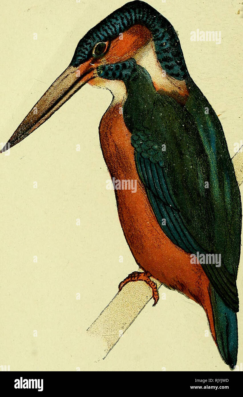 Jean b martin hi-res stock photography and images - Alamy