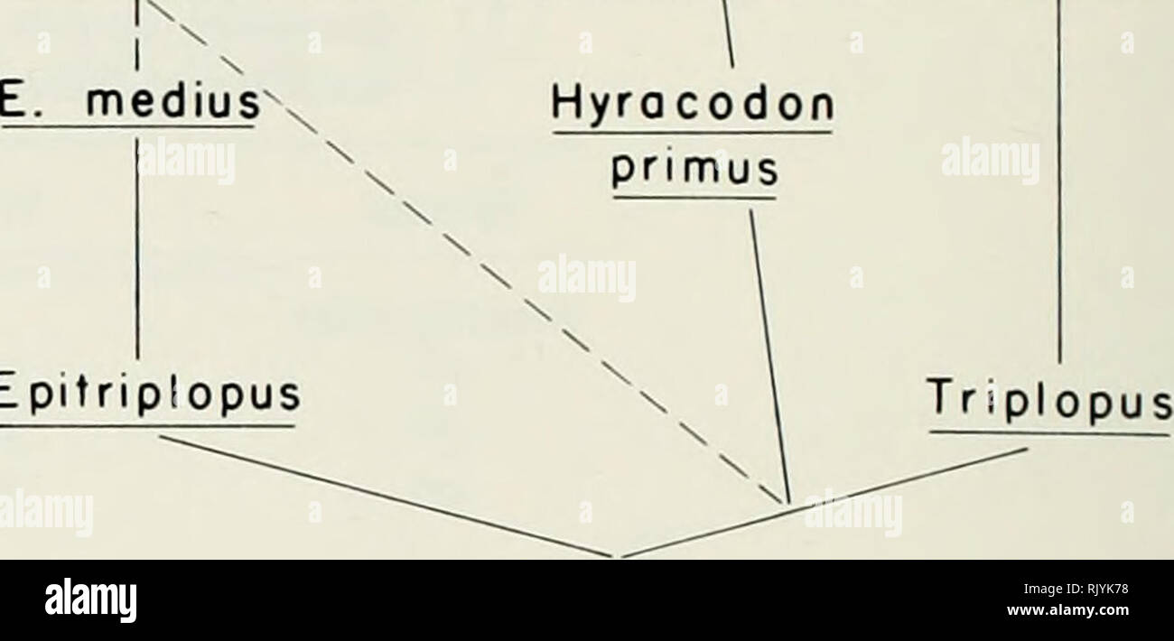 . Athlon : essays on palaeontology in honour of Loris Shano Russell ...
