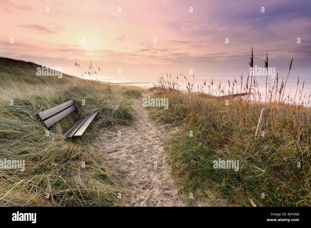 wooden bench by path to North sea coast Stock Photo - Alamy