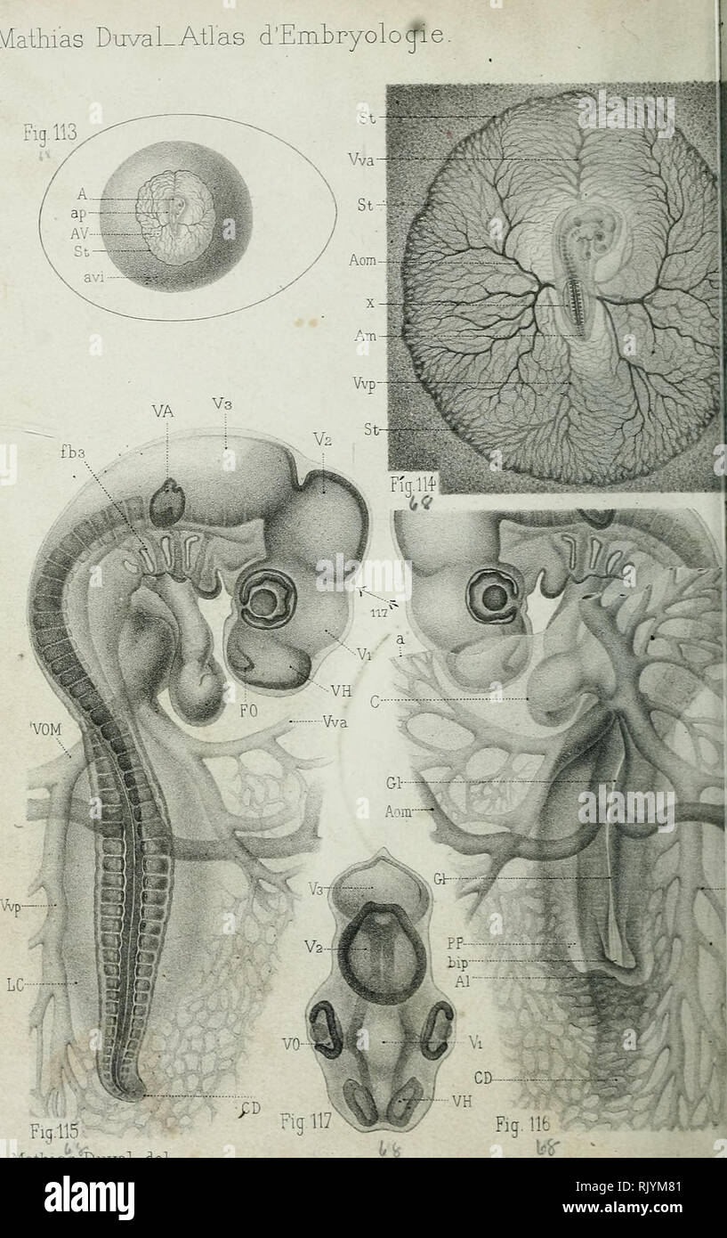 Ub ii hi-res stock photography and images - Alamy