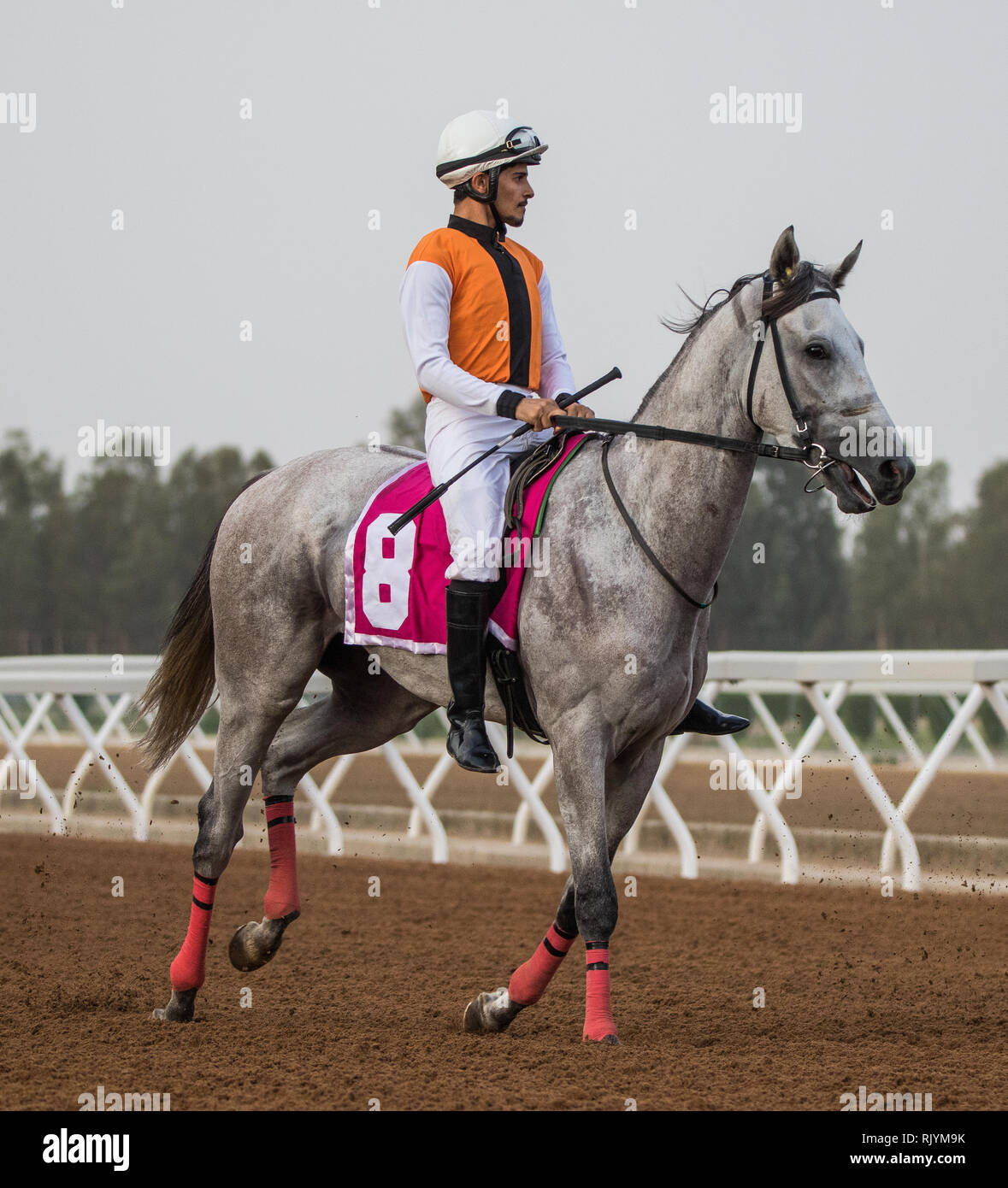 Horse racing at King Khalid Racetrack, Taif, Saudi Arabia. 22/06/2018 ...