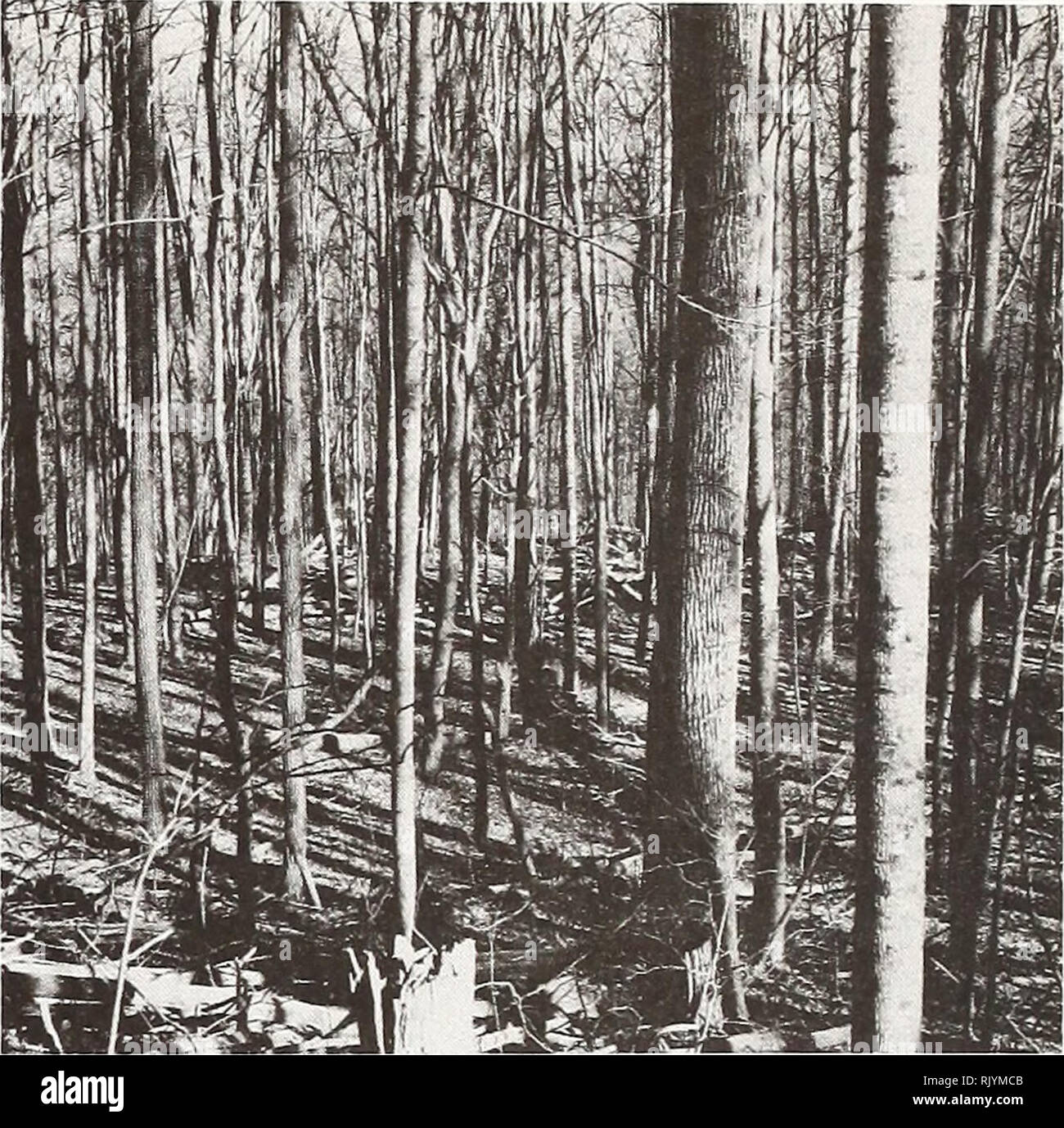 . An assessment of the forest and range land situation in the United ...