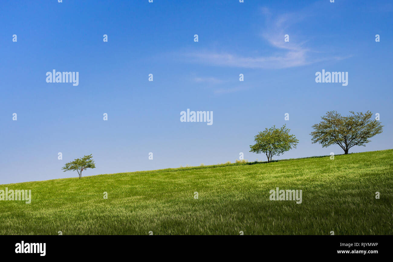 Setting your sights higher Stock Photo - Alamy