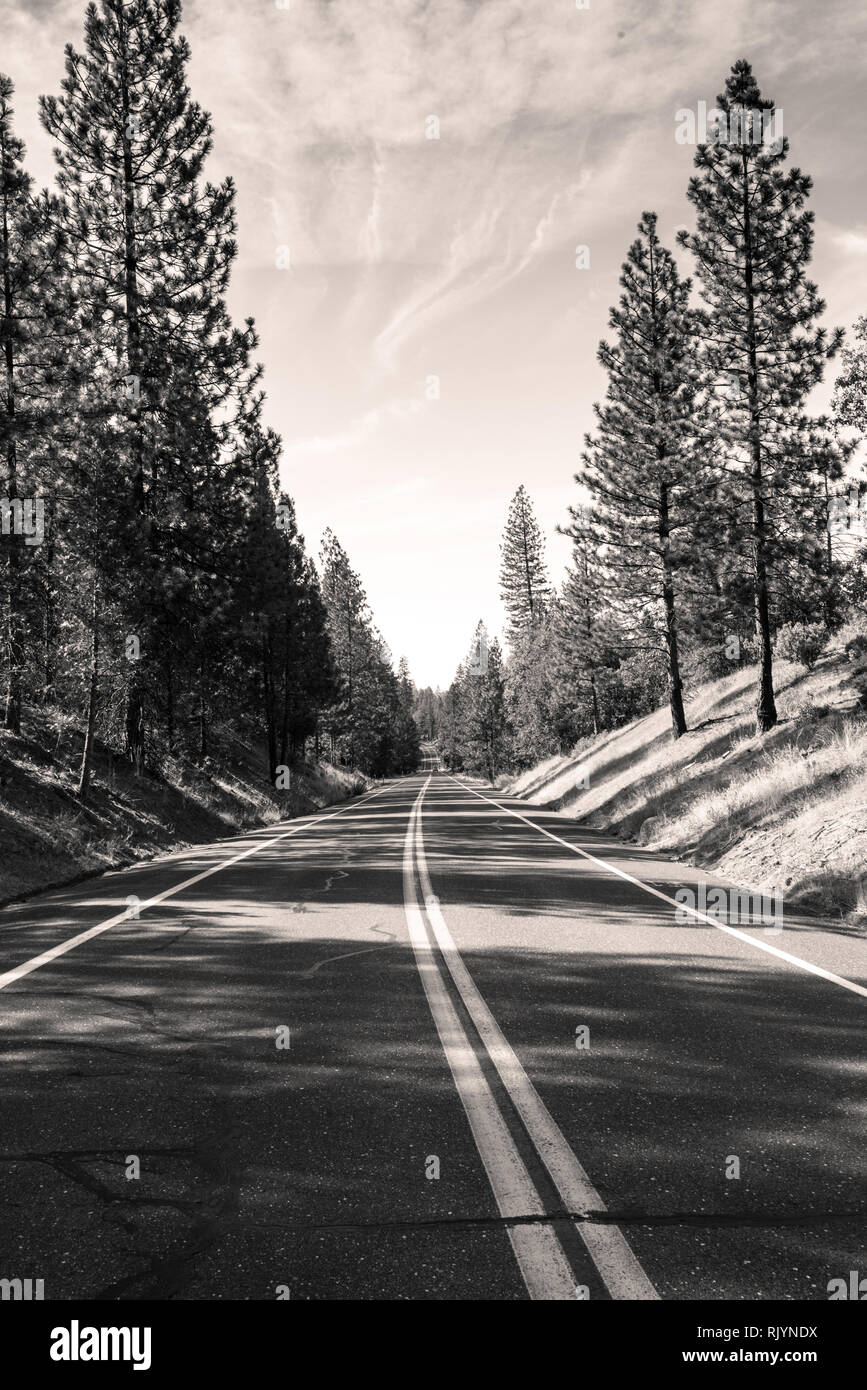 Winding roads hi-res stock photography and images - Alamy