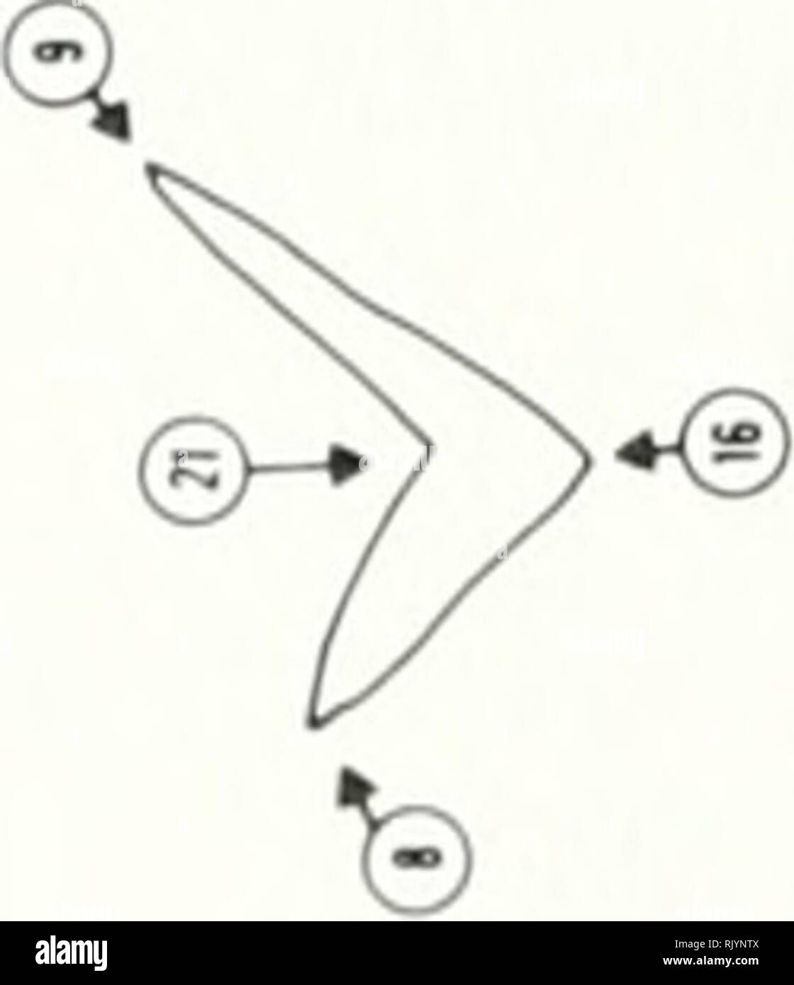 Athapascan hi-res stock photography and images - Alamy