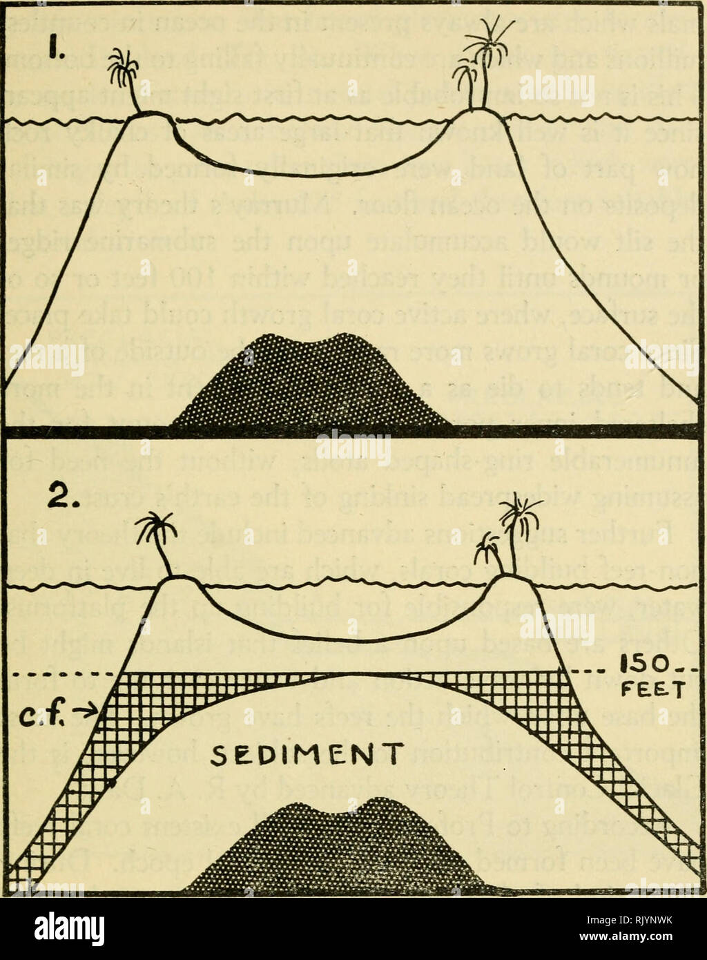 . Atlantic reef corals, a handbook of the common reef and shallow-water ...