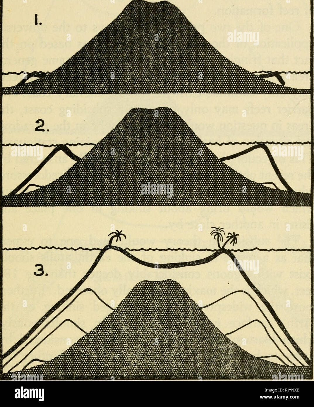 fringing reef drawing