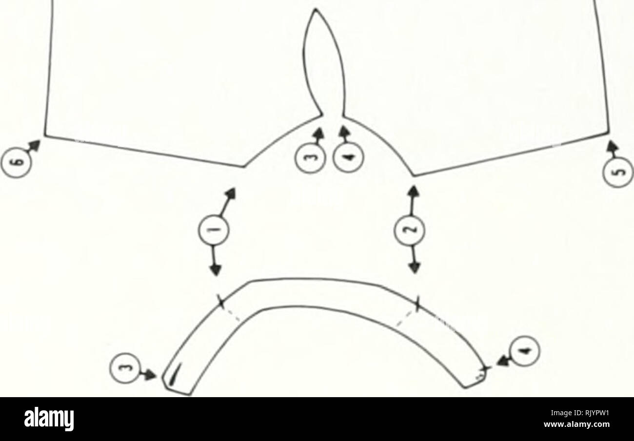 Athapascan hi-res stock photography and images - Alamy