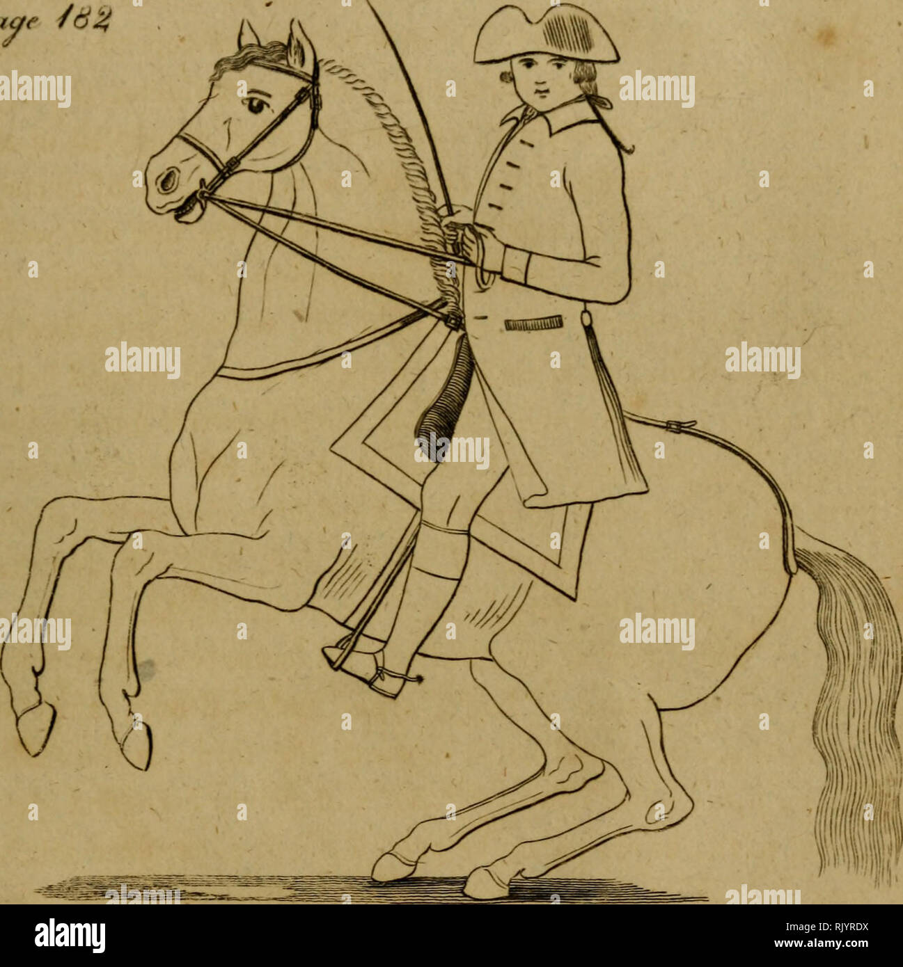 . Astley's system of equestrian education : exhibiting the beauties and ...