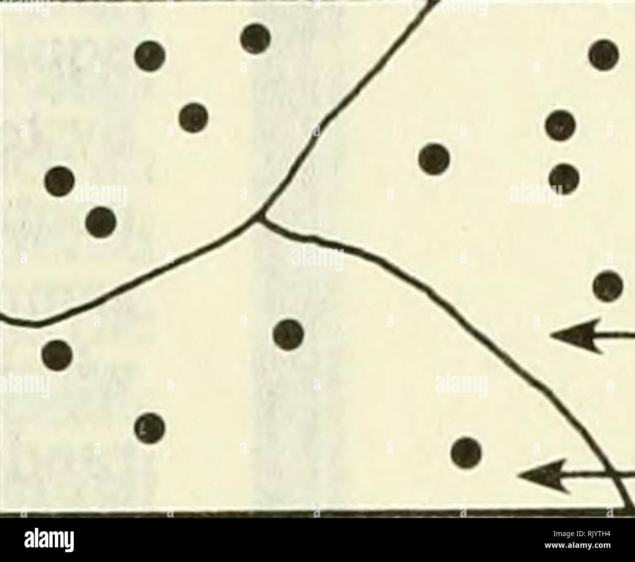 . Assessing human health risks from chemically contaminated fish and ...