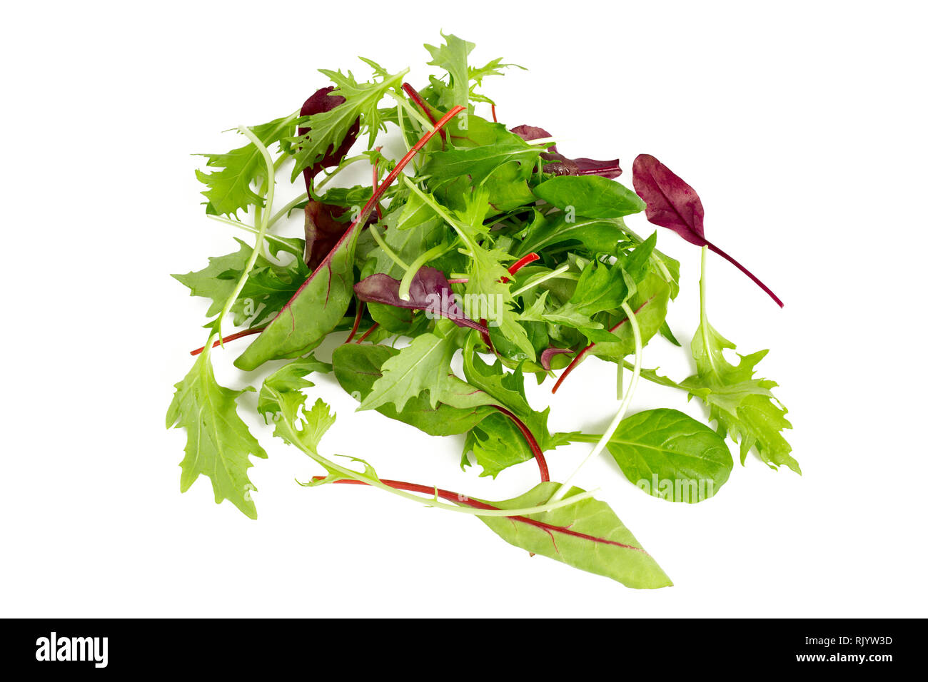 Mixed leaf lettuce hi-res stock photography and images - Alamy