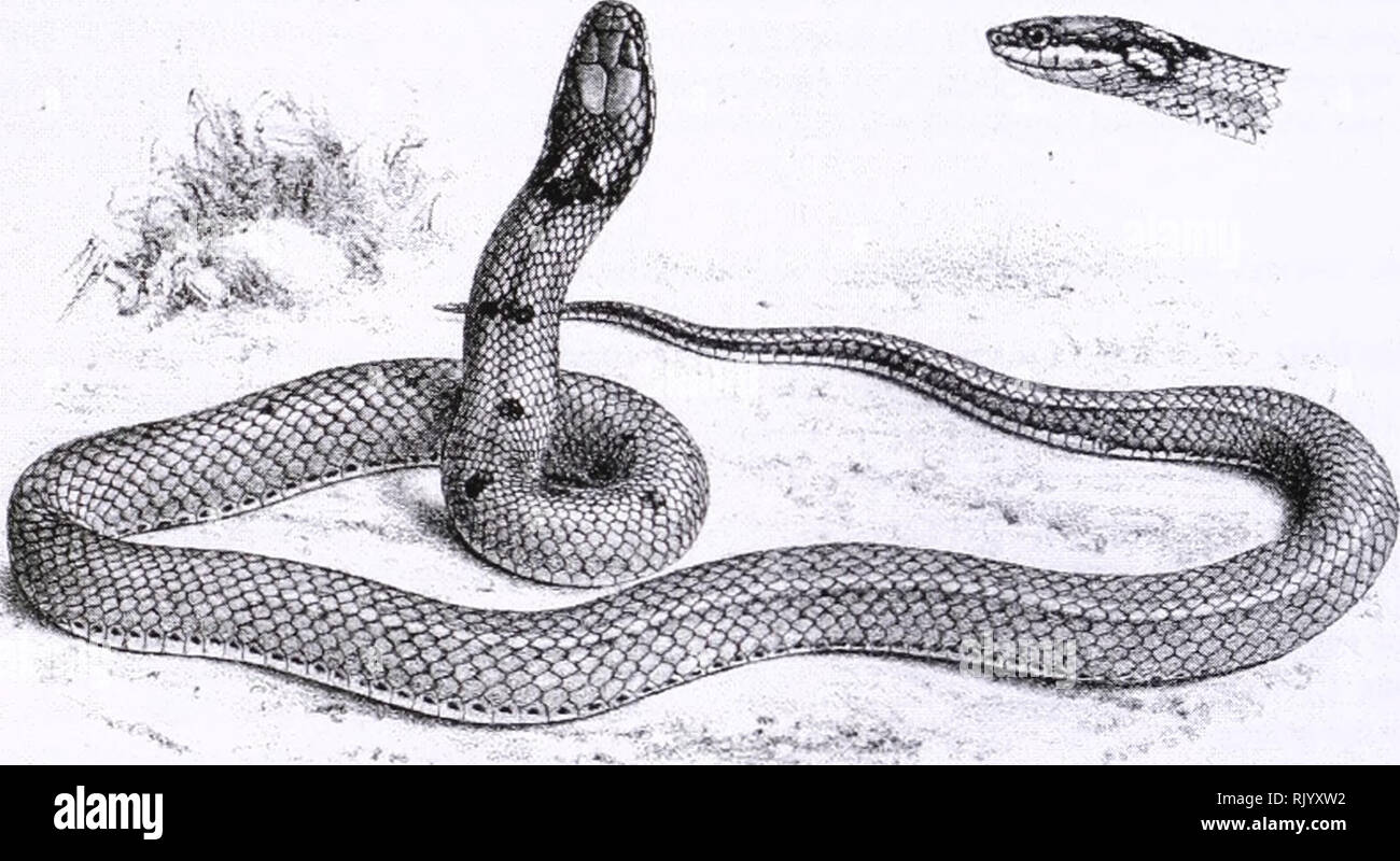 Polillo island hi-res stock photography and images - Alamy