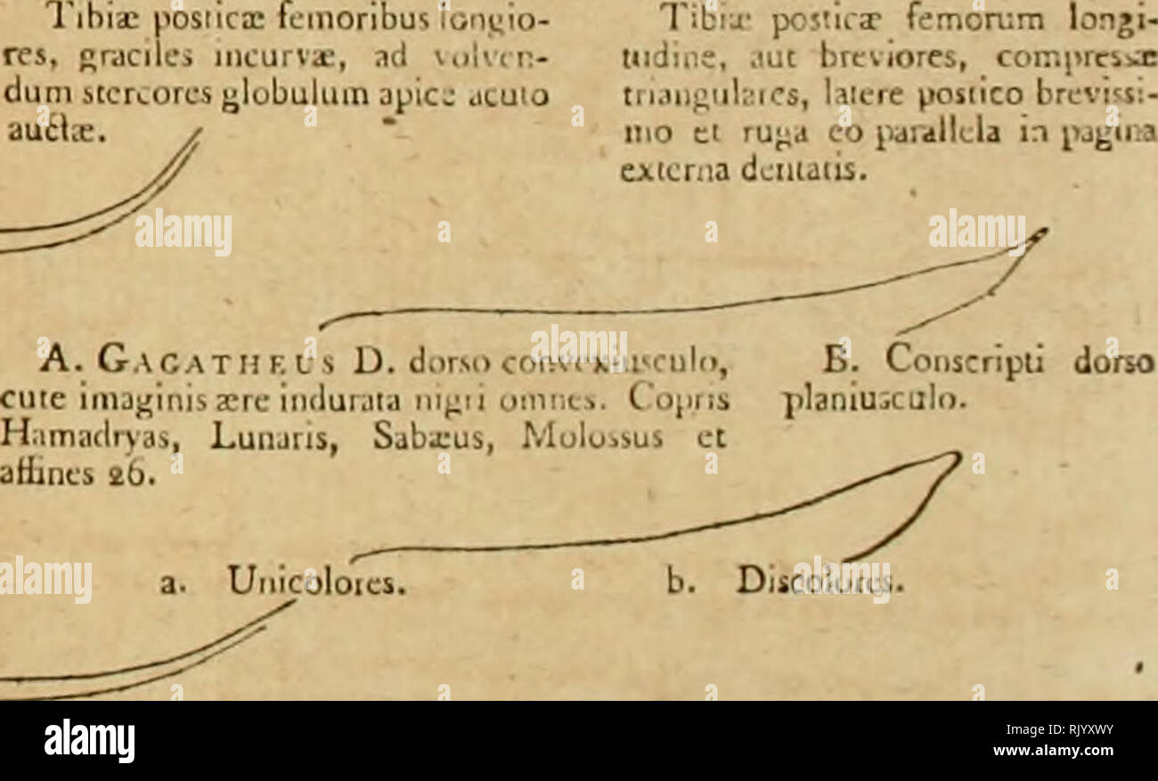 Tribus asia hi-res stock photography and images - Alamy