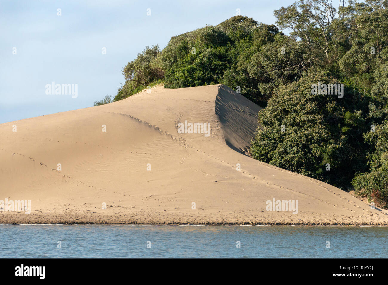 The beach sand bank taken from across the river Stock Photo - Alamy