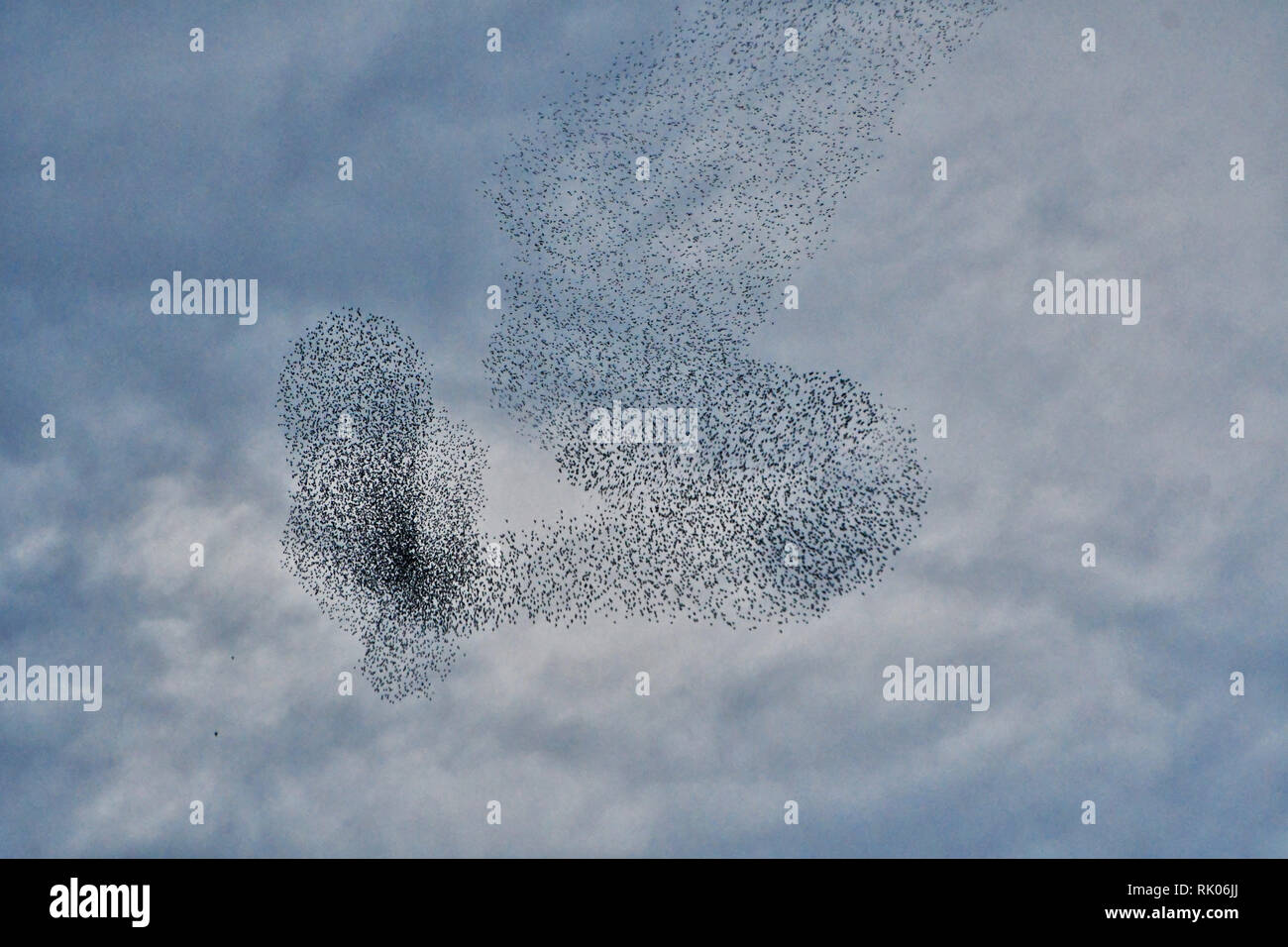 Argos greece hi-res stock photography and images - Alamy