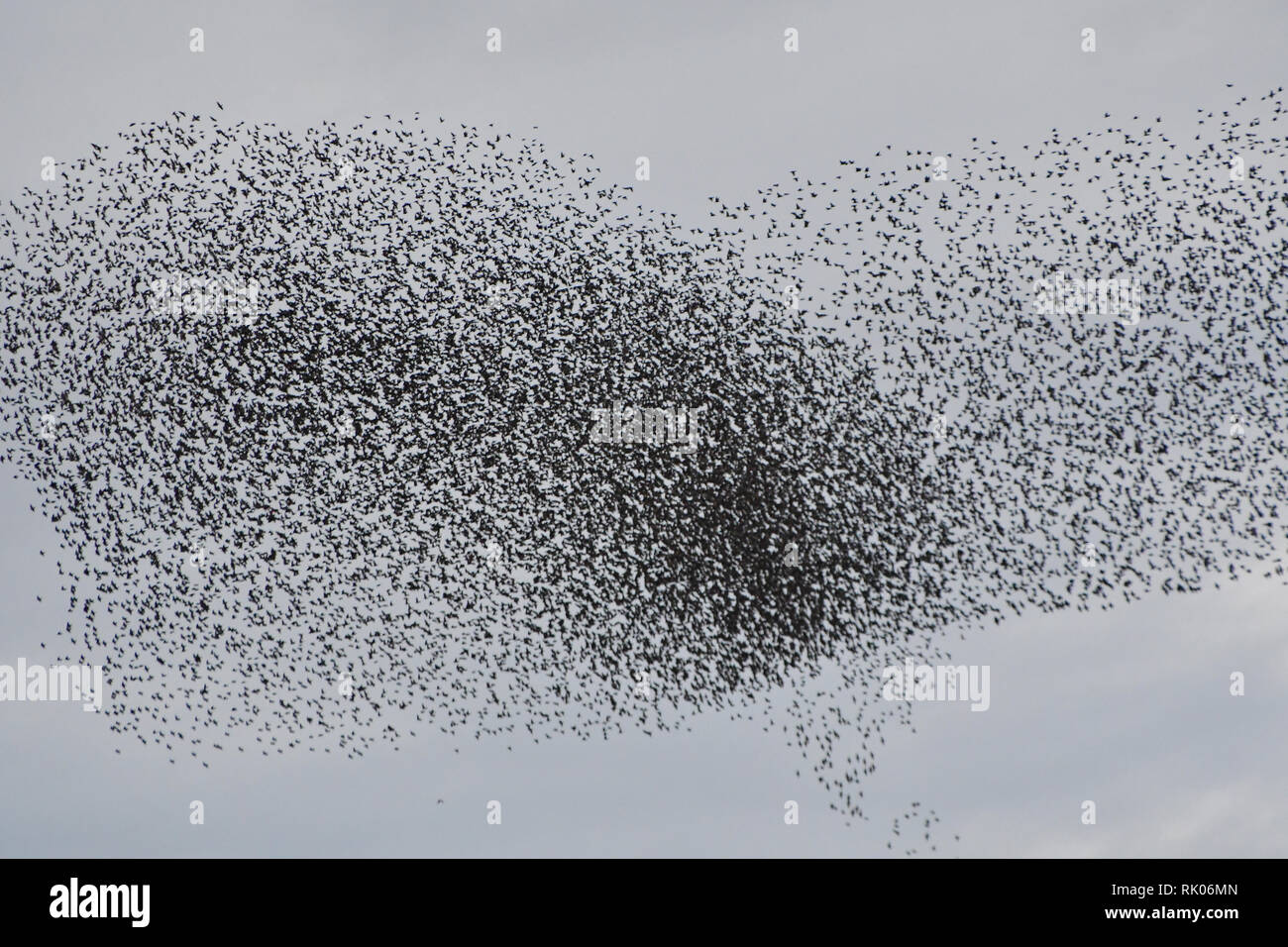 Argos greece hi-res stock photography and images - Alamy