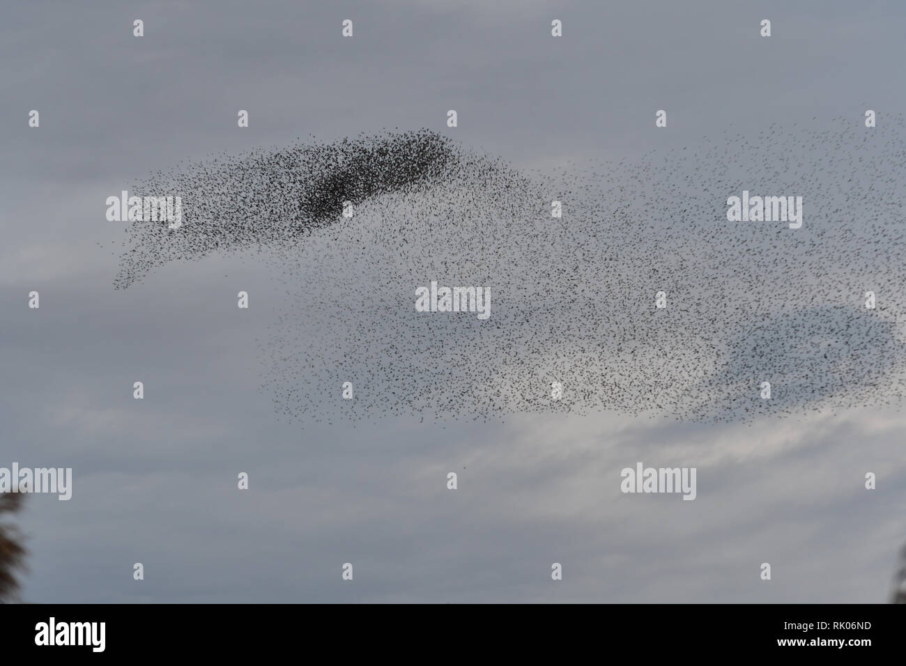 Argos greece hi-res stock photography and images - Alamy