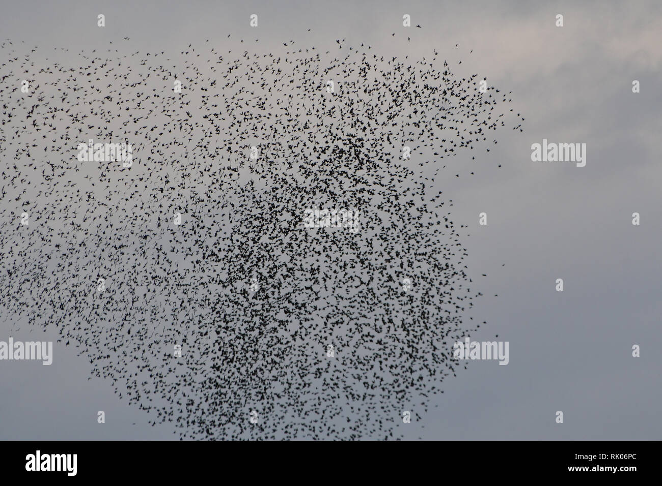 Argos greece hi-res stock photography and images - Alamy