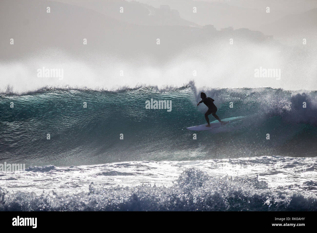 Surfer riding huge wave Stock Photo - Alamy