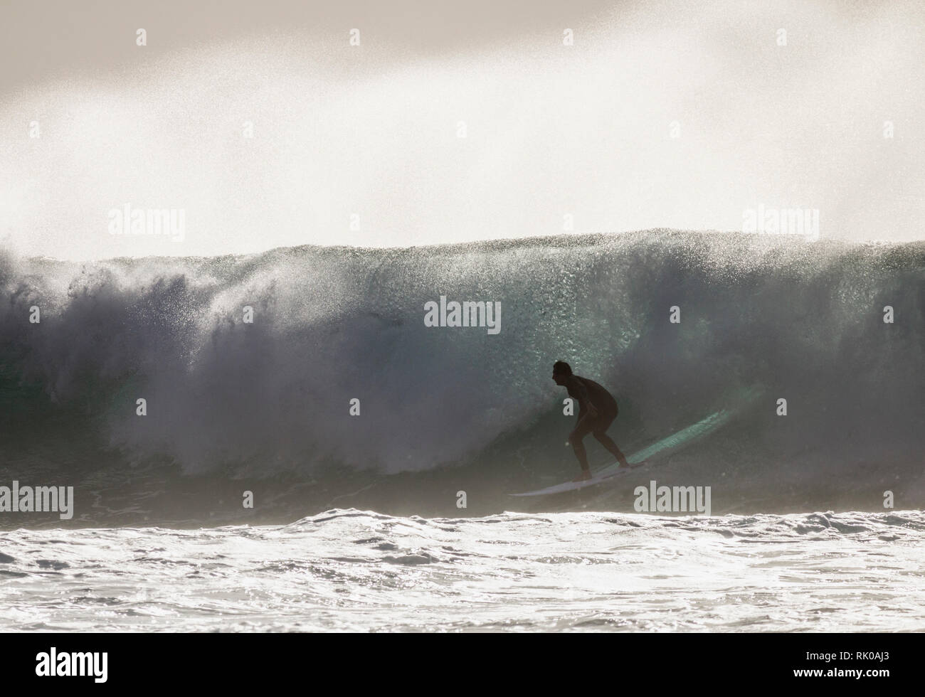 Surfer riding huge wave Stock Photo - Alamy