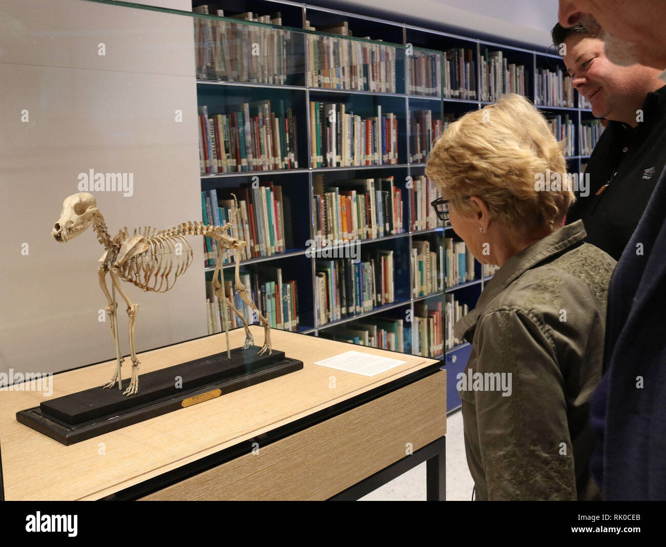 New York City, New York, USA. 8th Feb, 2019. Museum goers view the ...