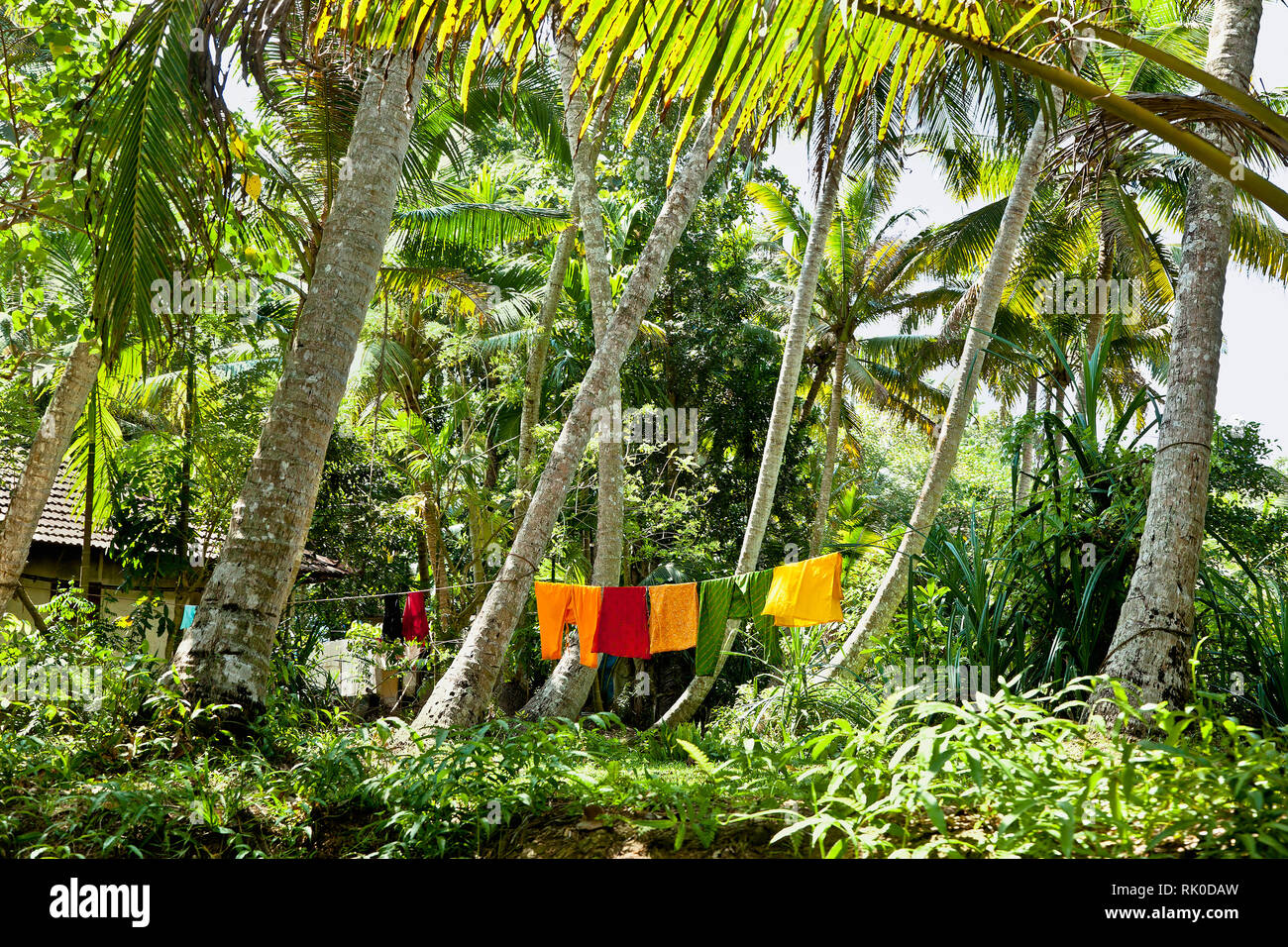 Clothes Drying in a Jungle Stock Photo - Alamy