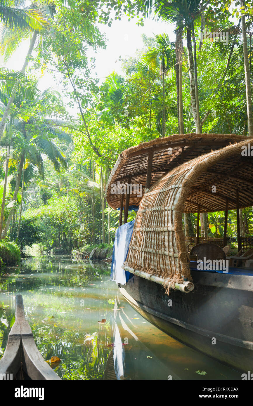 Boat in the Jungle Stock Photo - Alamy