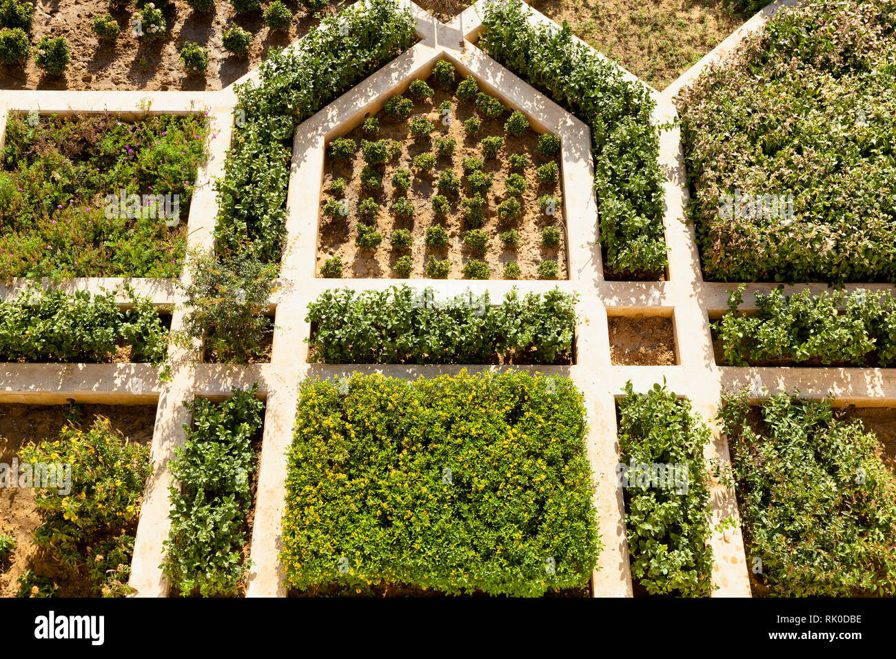 Amber Fort Garden Stock Photo - Alamy