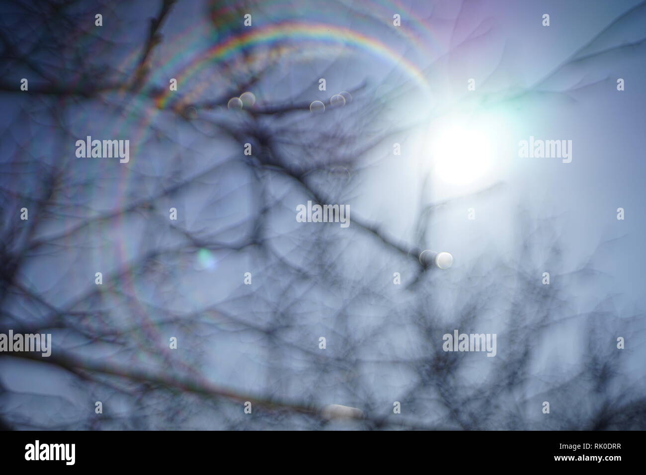 unfocused image of the sun with sunshine in the blue sky behind the dry ...