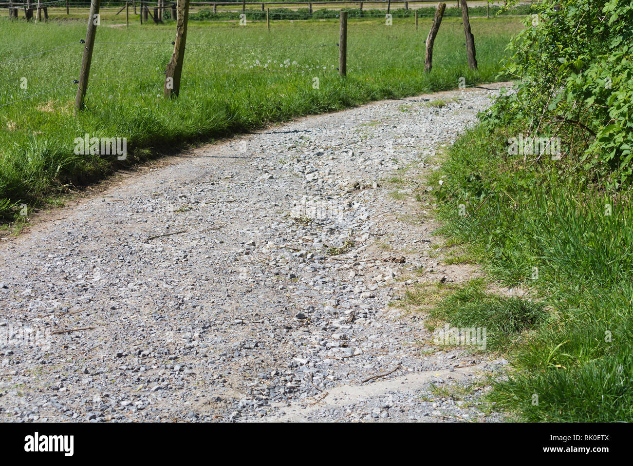 Fairytale forest landscape alley way outdoor space park nature ...