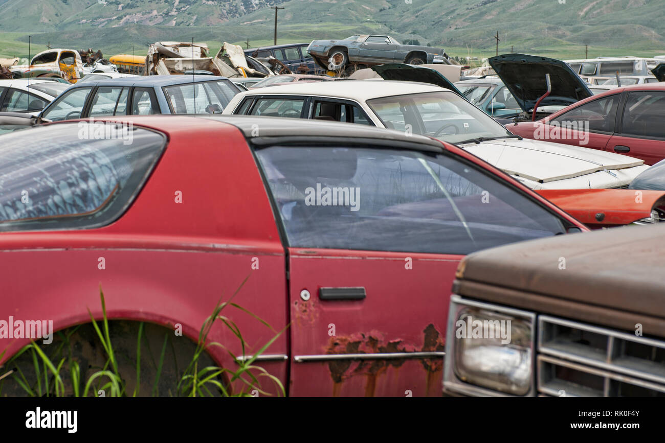 Abandoned cars in junkyard Stock Photo - Alamy