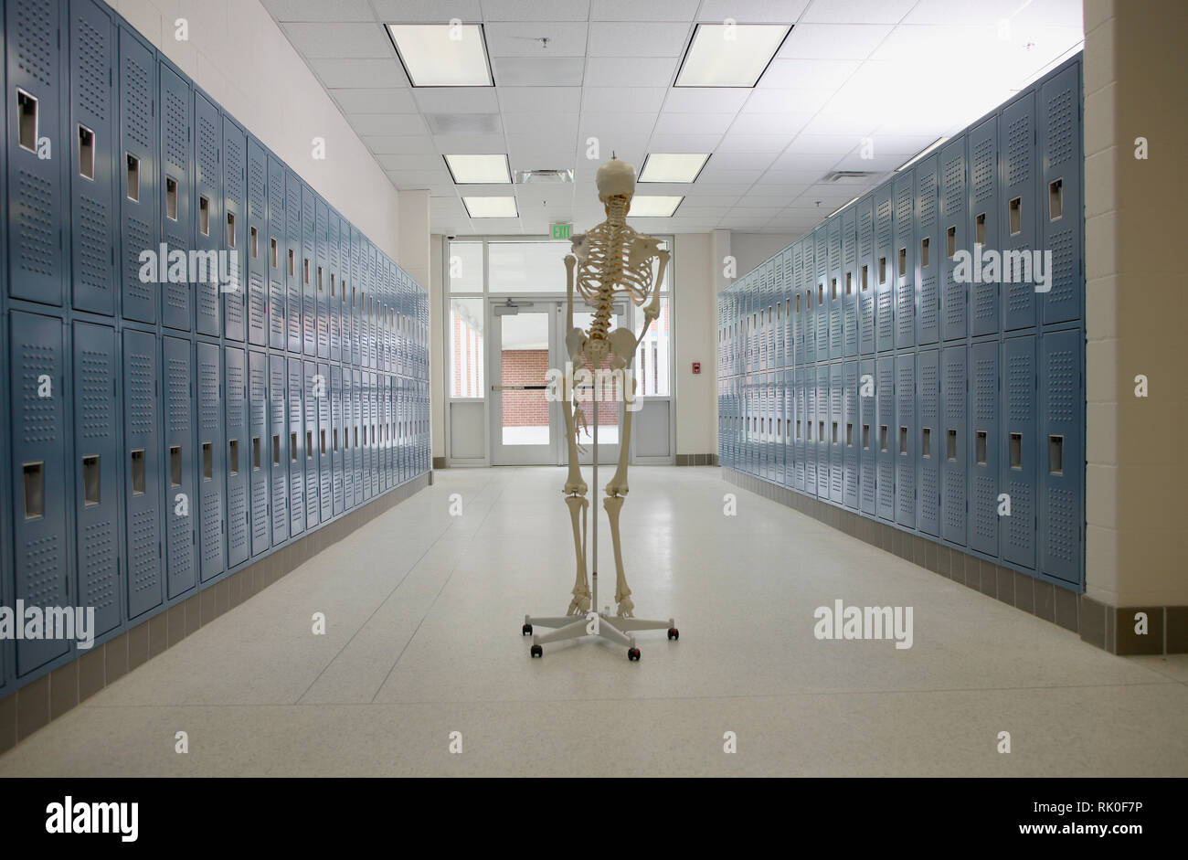 Skeleton in High School Hallway Stock Photo - Alamy