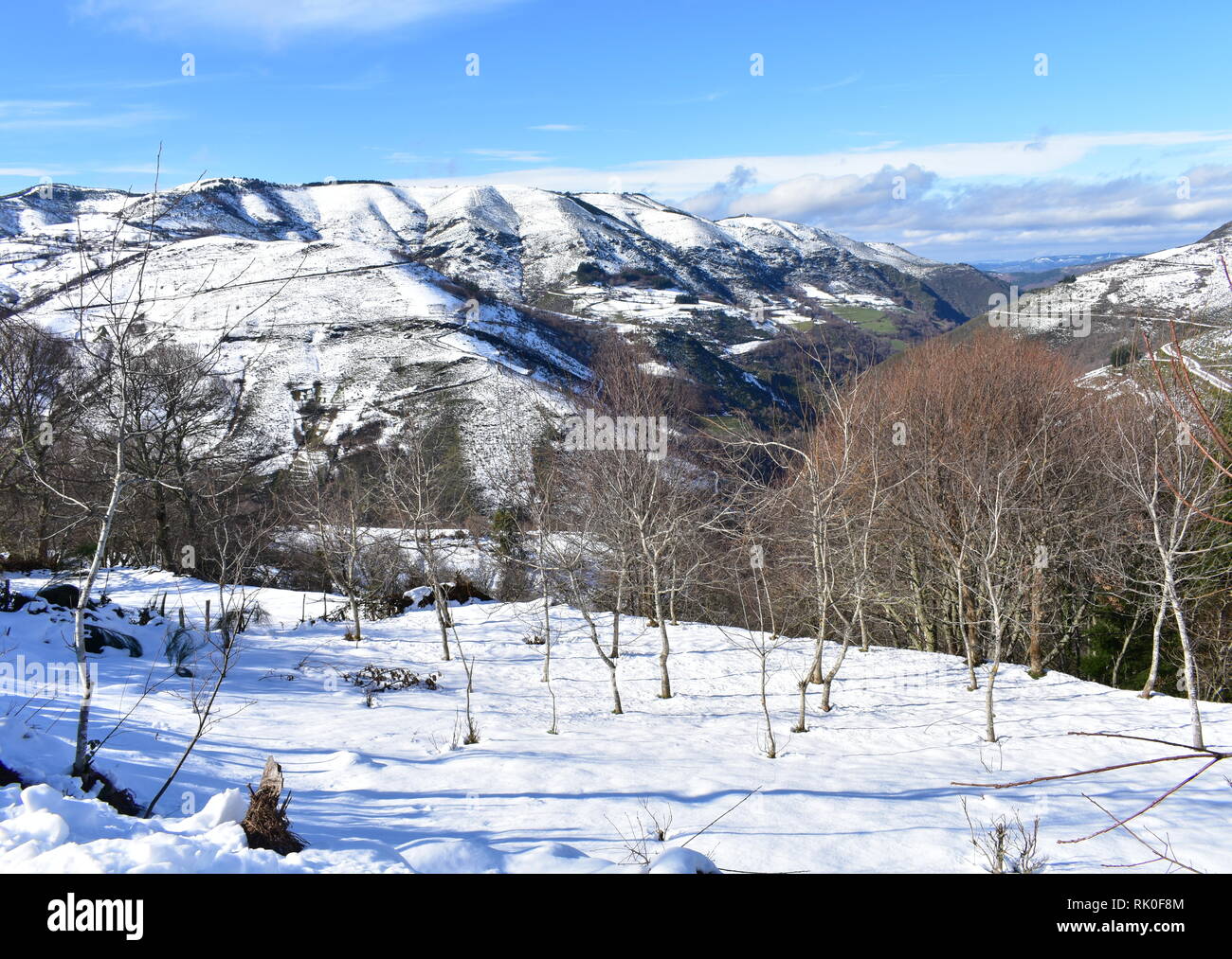 Winter landscape with snowy mountains and trees. Slope covered with ...