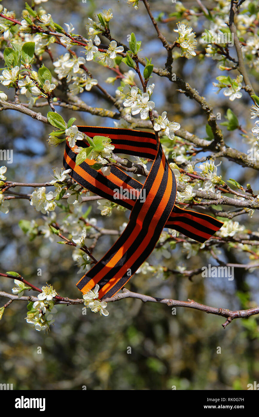 Carnation branches spring hi-res stock photography and images - Alamy