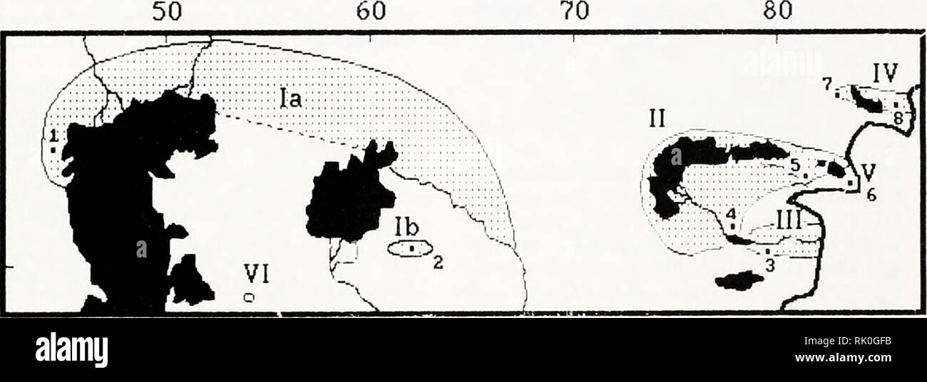 Karyotypes hi-res stock photography and images - Alamy