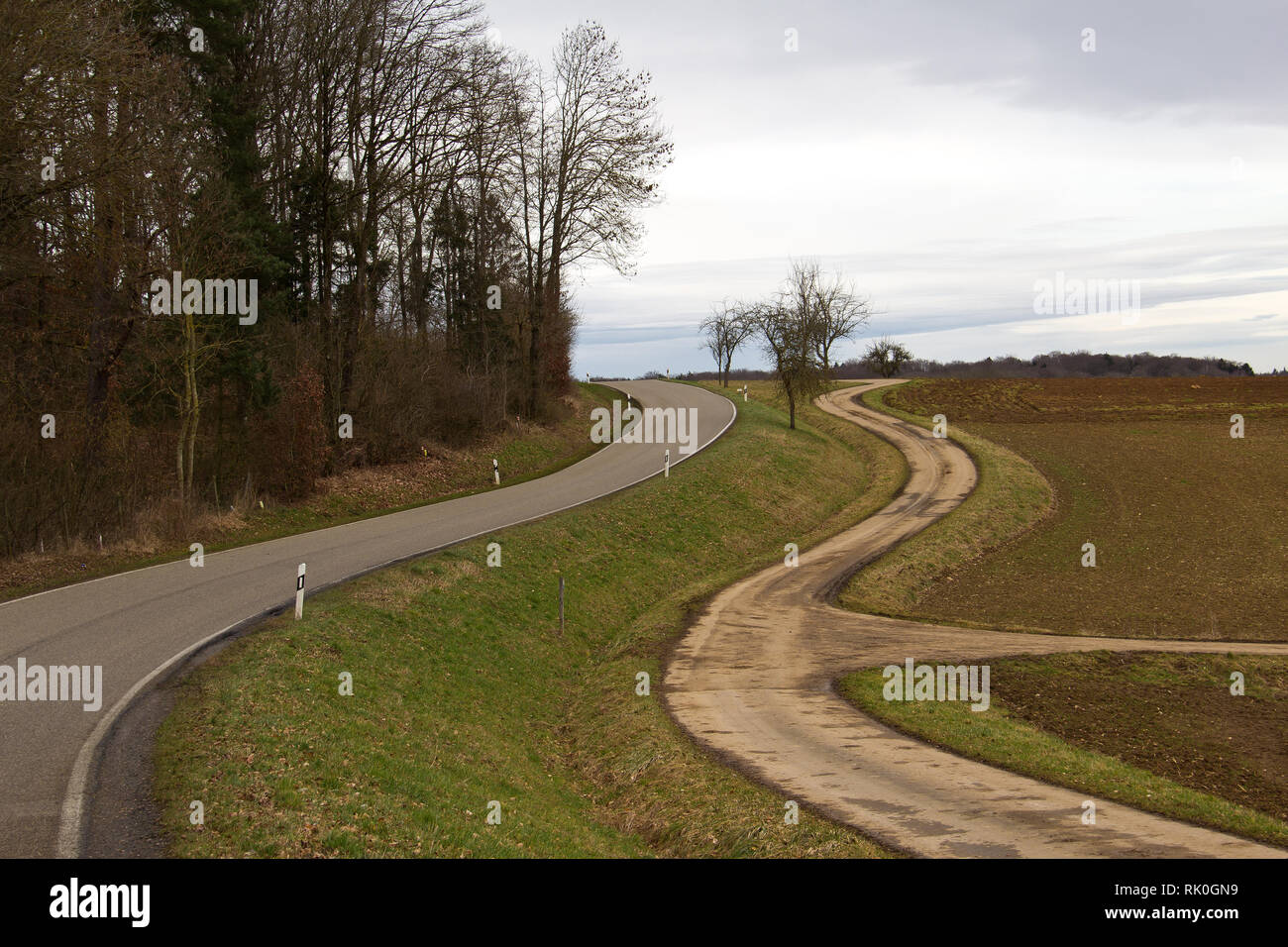 Rural landscape / Rural landscape with trees along the road Stock Photo ...