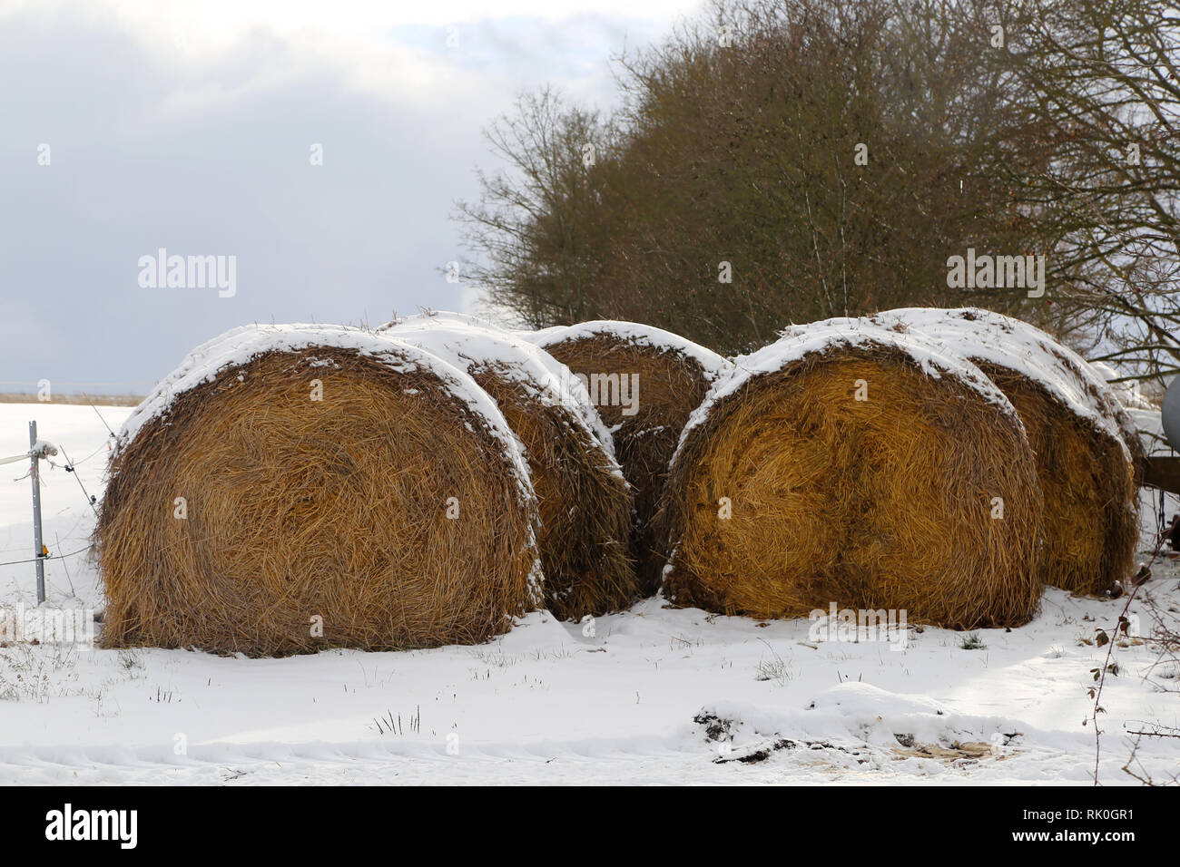Hay Bales Winter Frozen Farm High Resolution Stock Photography and ...