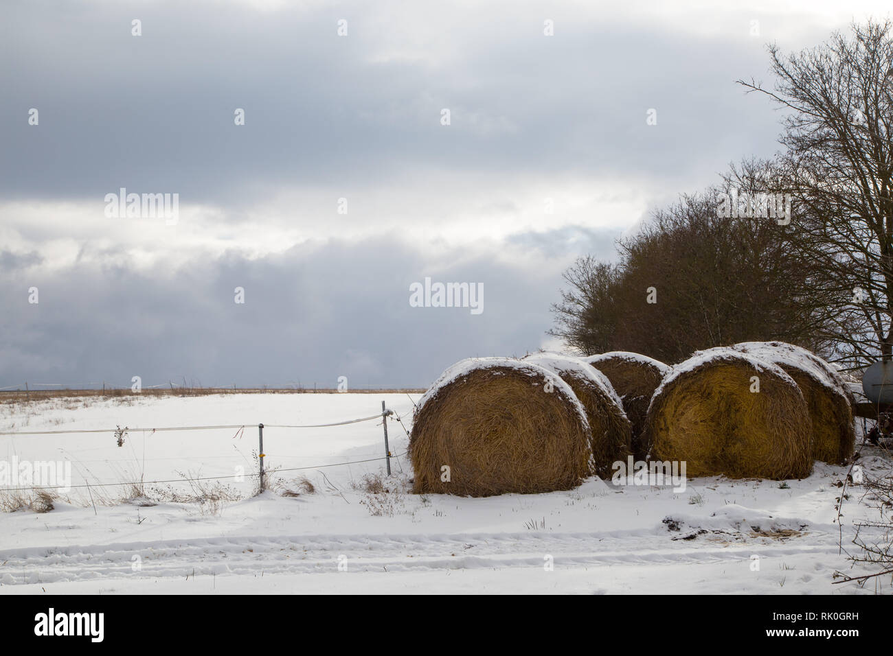 Hay bales winter frozen farm hi-res stock photography and images - Alamy