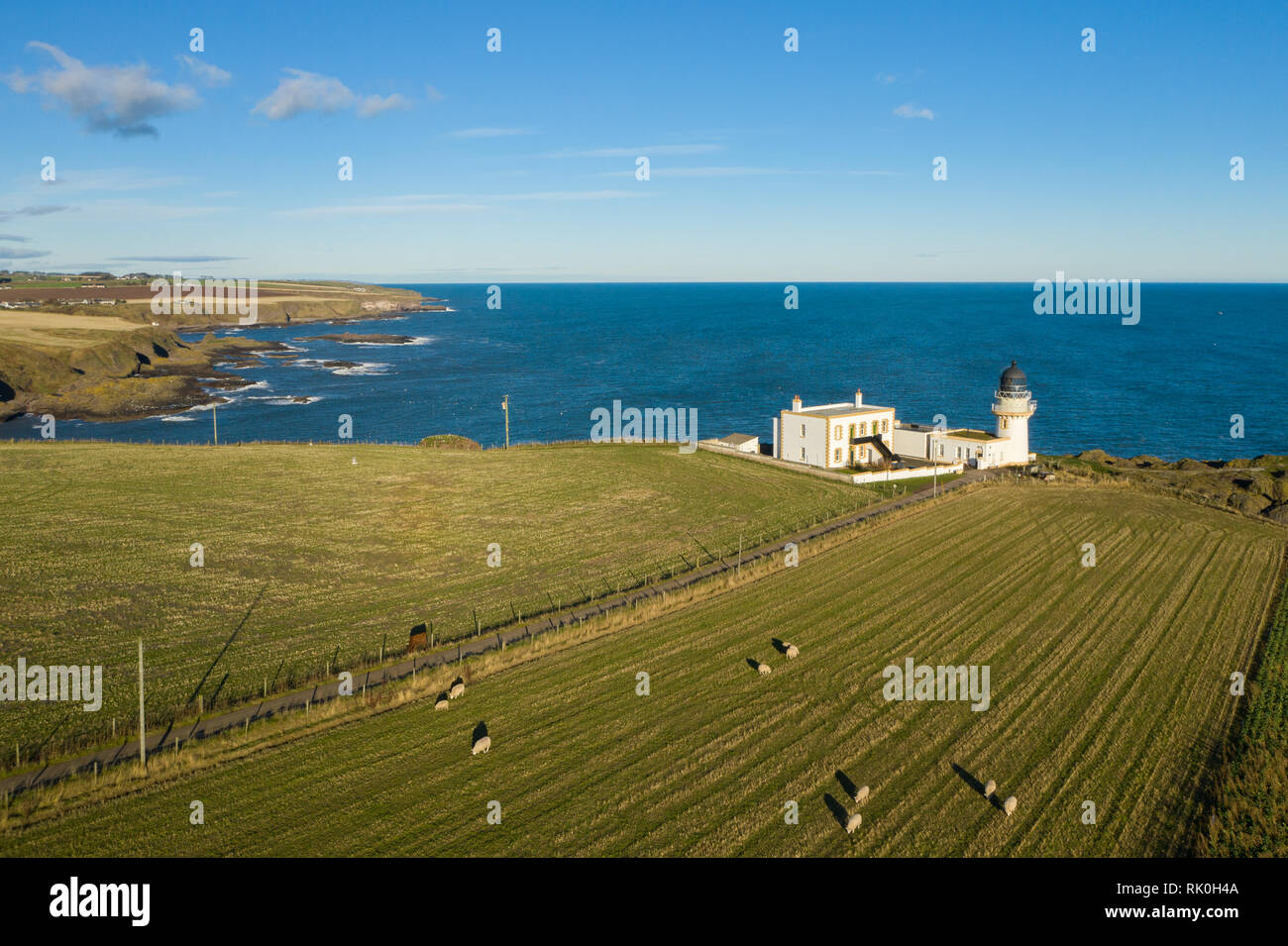 Tod head hi-res stock photography and images - Alamy