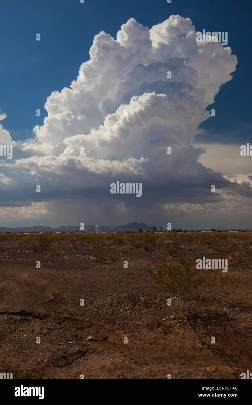 Palomas mexico hi-res stock photography and images - Alamy