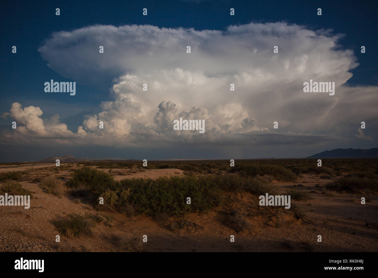 Samalayuca hi-res stock photography and images - Alamy