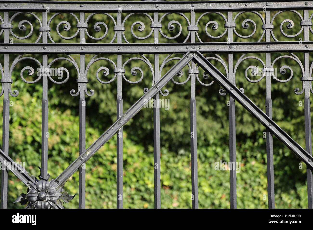 Metal fence. Metal curly fence in the park Stock Photo - Alamy