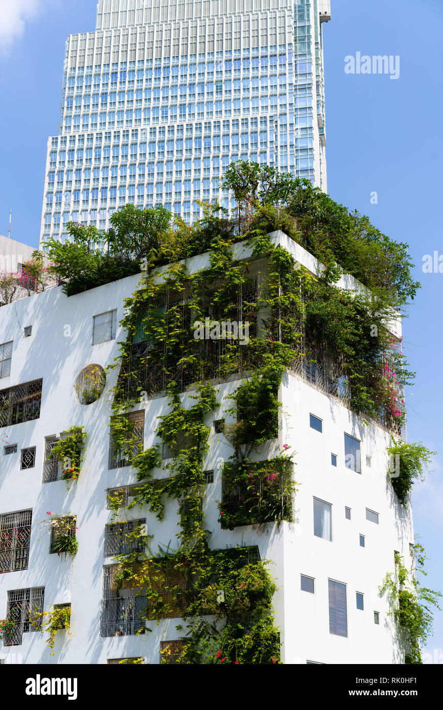 Building facade covered creeping plant hi-res stock photography and ...