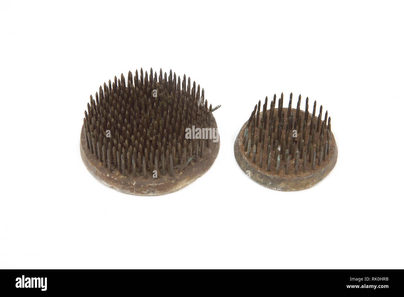 Spike frogs hi-res stock photography and images - Alamy