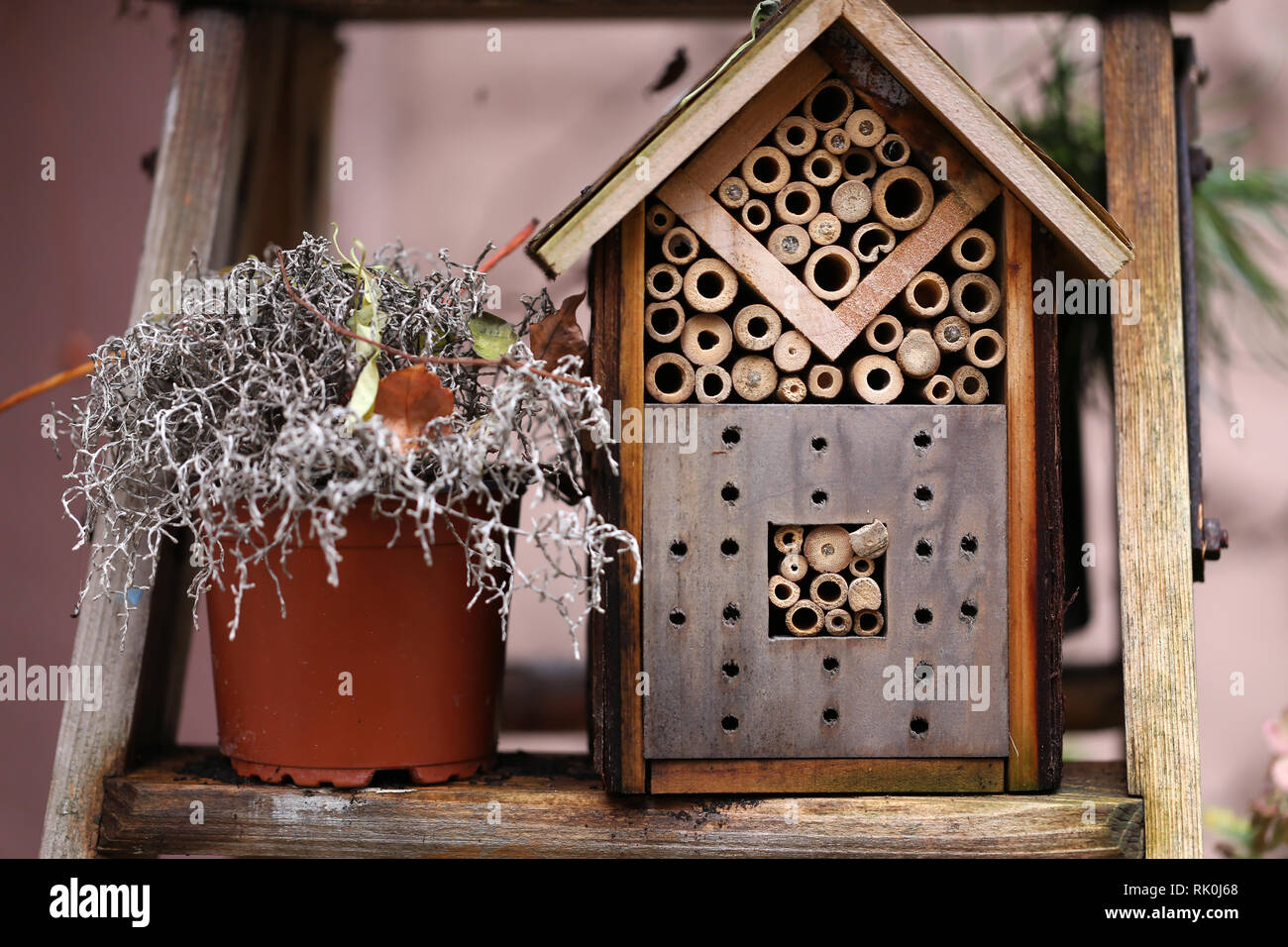 hotel for insects ecological hide out to help preserve biodiversity ...